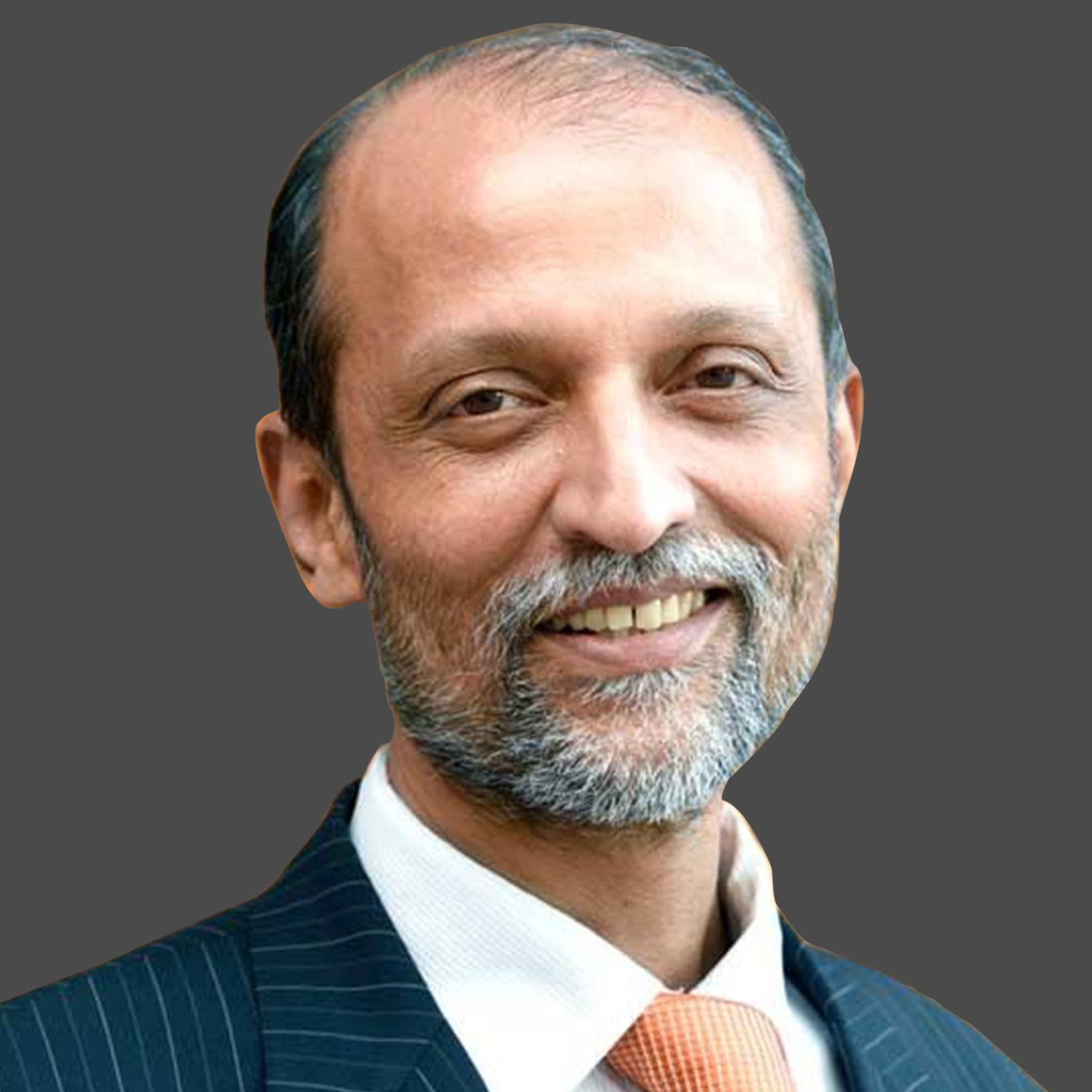 What is blame for the slowing Indian economy and how can it be revived?