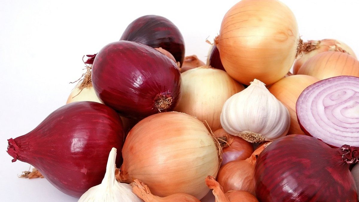 Know Your Onions Peeling Complex Layers Of A Humble Pricey Vegetable know-your-onions-peeling-complex-layers-of-a-humble-pricey-vegetable