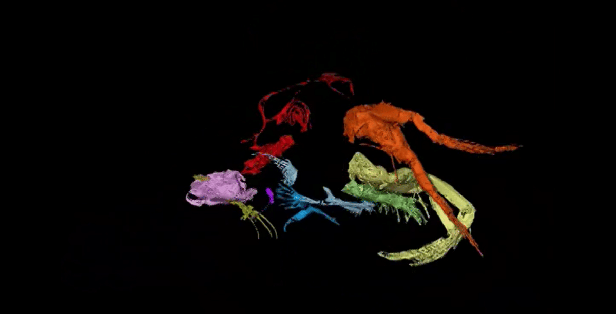 Worlds Oldest Sperm Is Around 100 Million Years Old And Is Trapped In