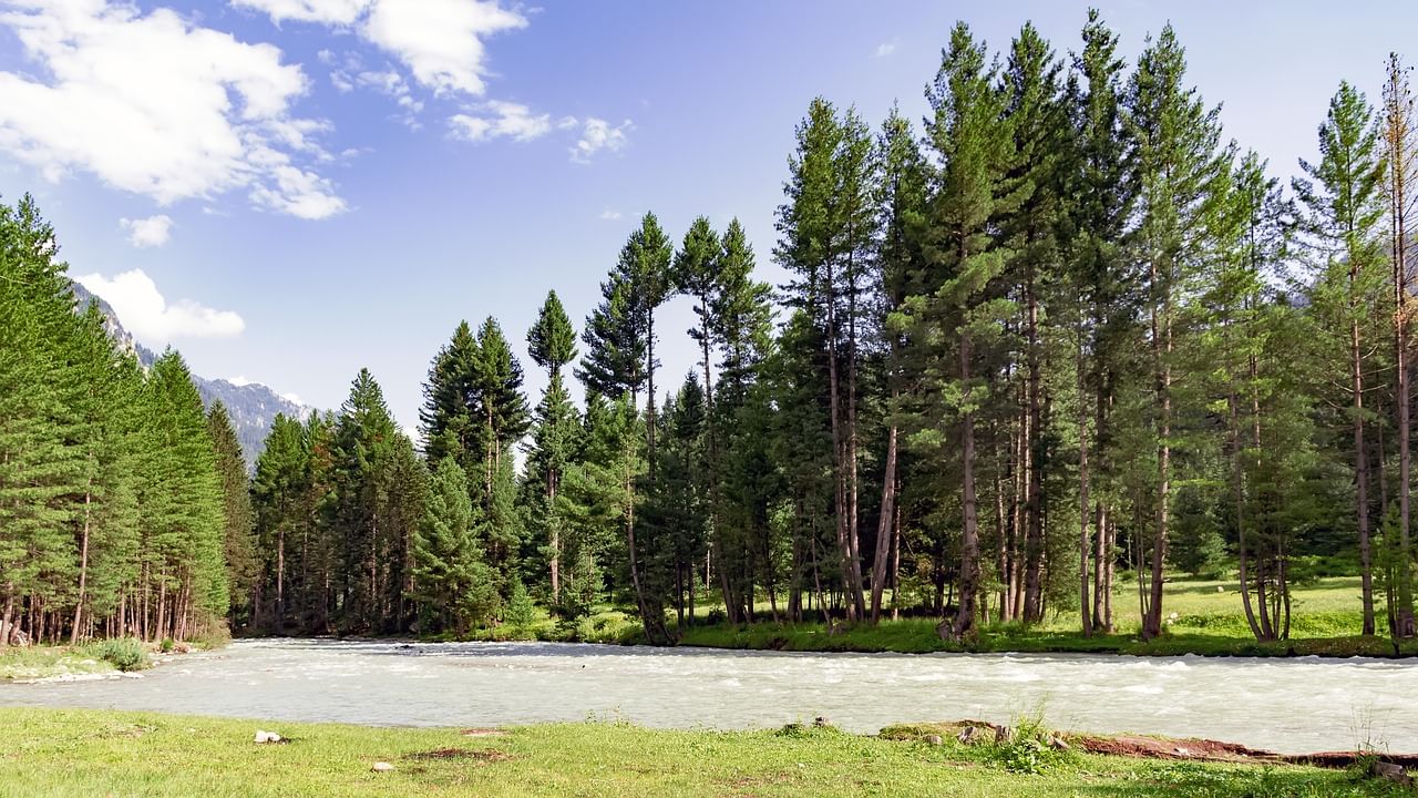 Pakistan plans to plant 10 billion trees by 2023 to restore forest cover