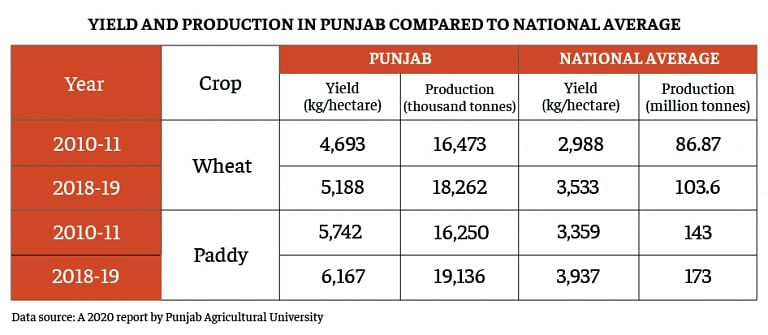 Msp Subsidies Are At Root Of Punjabs Farm Crises But Its Farmers Are