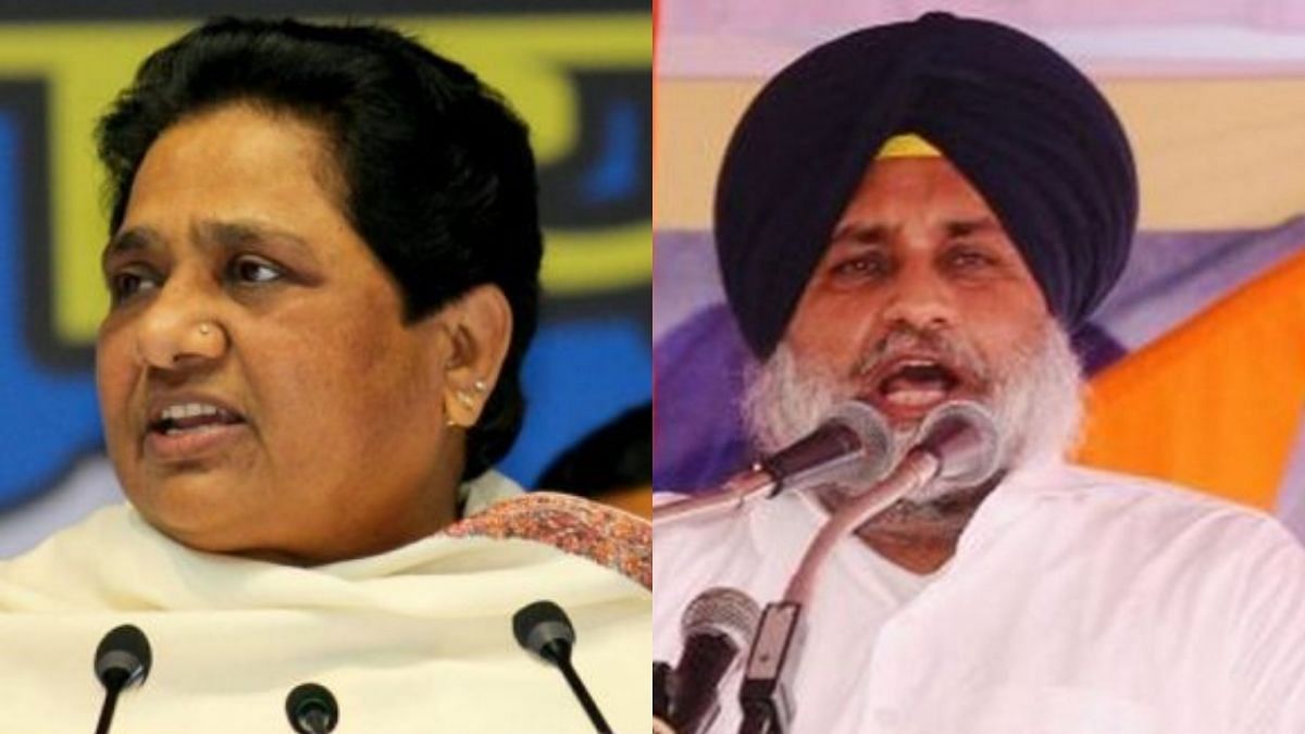 SAD, BSP form alliance for 2022 Punjab Assembly polls SAD, BSP form alliance for 2022 Punjab Assembly polls