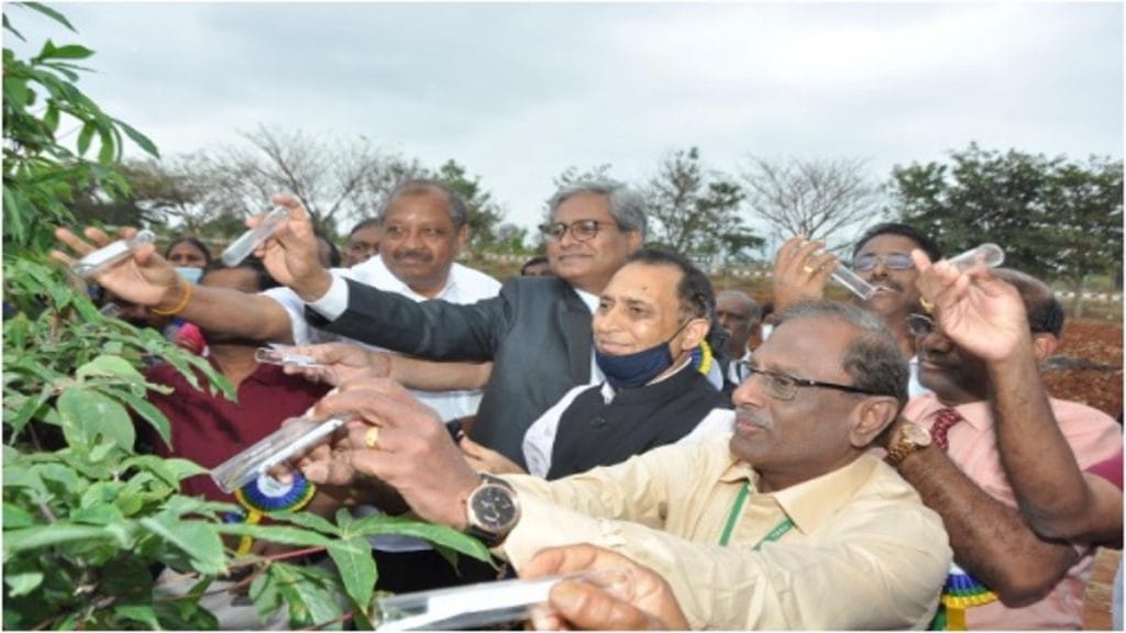 Ultimate ‘sting op’ — how Indian scientists imported wasps from Africa ...