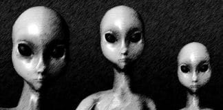 Aliens: Latest News, Photos, Videos, Information on Aliens – ThePrint