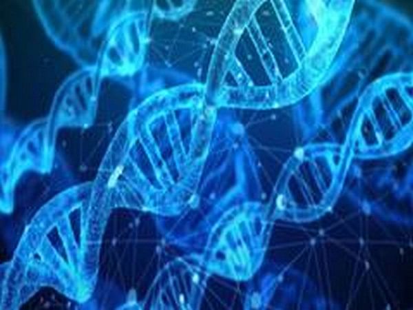 Key protein that drives rheumatoid arthritis damage: Study – ThePrint ... Key protein that drives rheumatoid arthritis damage: Study – ThePrint ...