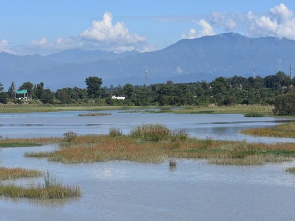 25 years into conservation Wetlands International South Asia marks ...