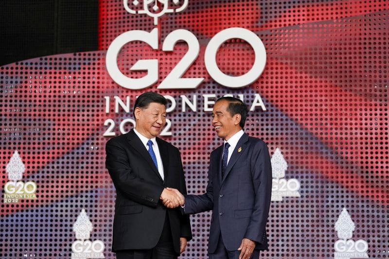 G20 starts in Bali as Ukraine war, raging inflation top agenda – ThePrint