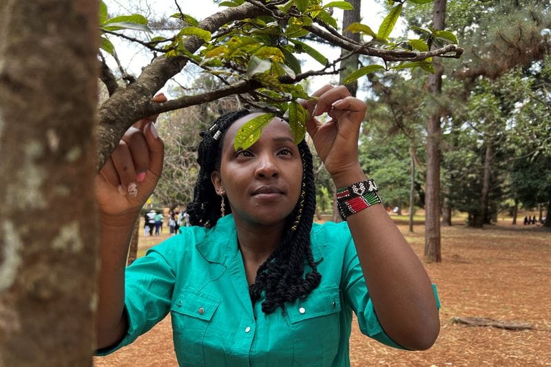 Young Kenyan tree activist speaks up for Africa at COP27 – ThePrint