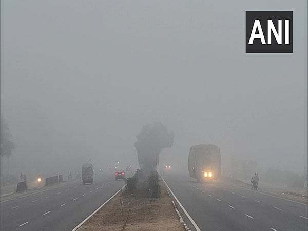 Fog engulfs North India, visibility dips to zero in some places – ThePrint – ANIFeed
