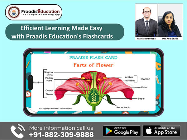 Efficient learning made easy with Praadis Education's flashcards – ThePrint – ANIPressReleases