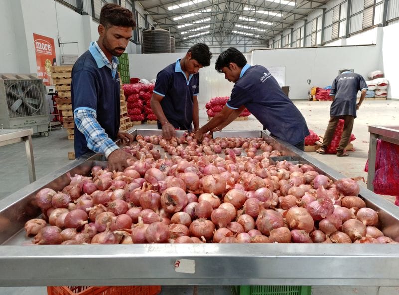 India sets $800 per ton minimum export price on onions till end-December – ThePrint – ReutersFeed
