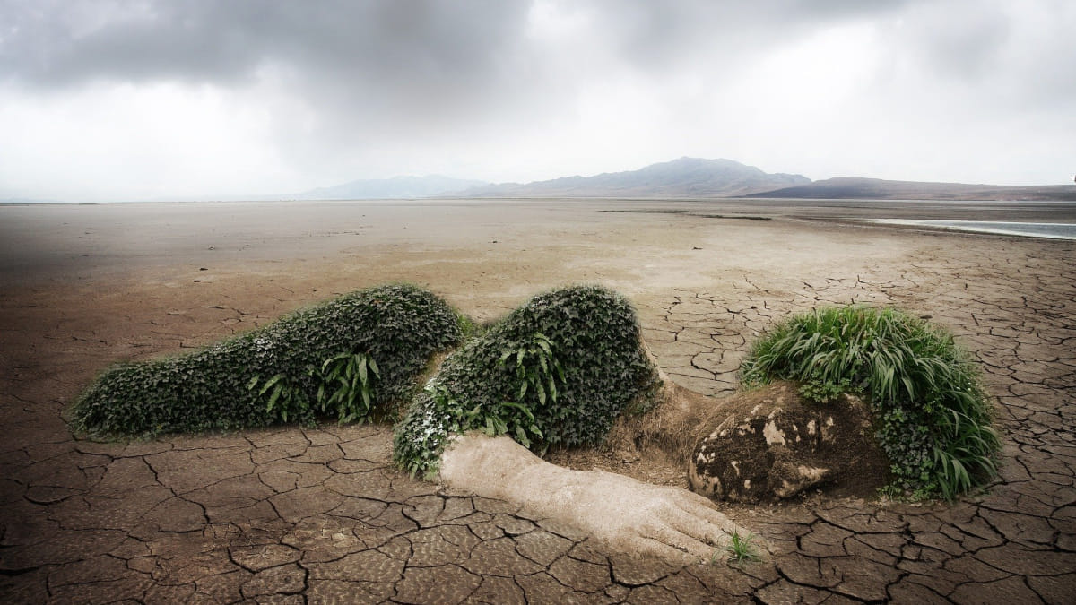 Climate change is transforming the way we speak. And that's a good thing