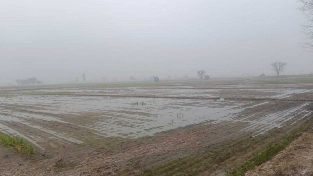 Haryana Launches Plan To Reclaim 2 Lakh Acres From Waterlogging