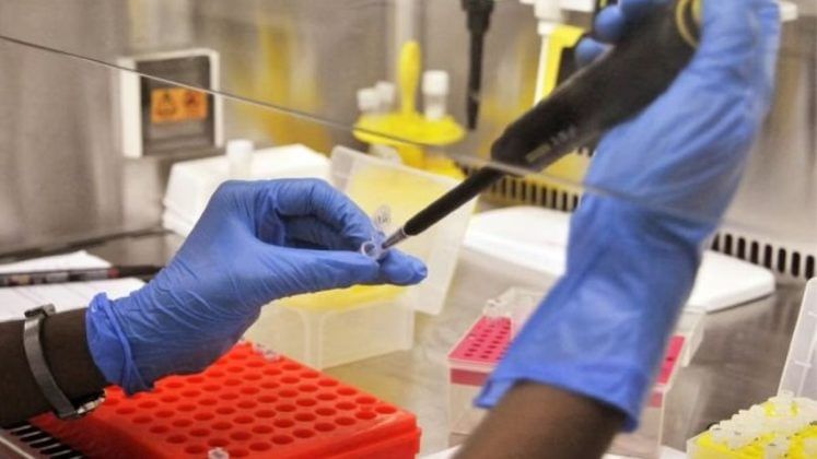 Human-based tech replacing animal testing in drug development. India ...