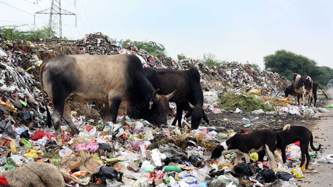 SubscriberWrites: Bridging the garbage divide