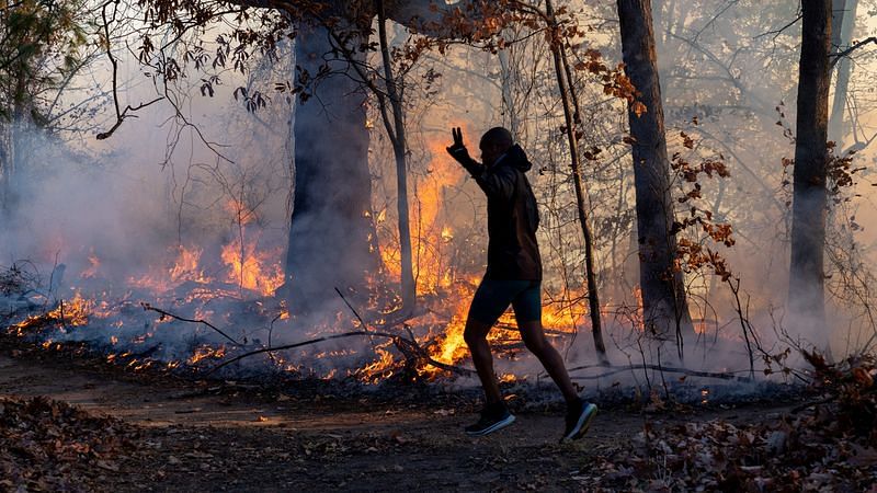 New Jersey wildfire continues to grow despite rainfall – ThePrint ... New Jersey wildfire continues to grow despite rainfall – ThePrint ...