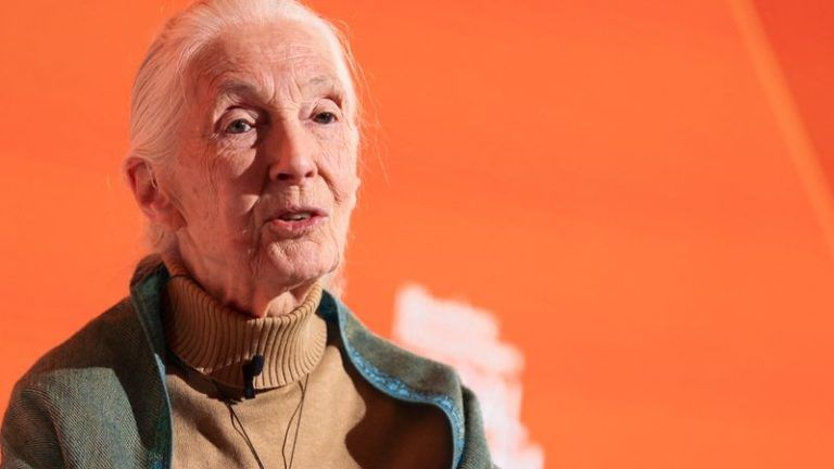 British scientist, activist Jane Goodall dies at 91